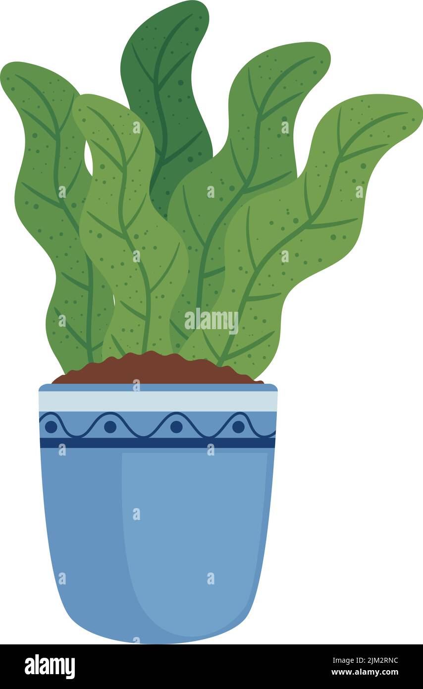 houseplant with blue pot Stock Vector Image & Art - Alamy