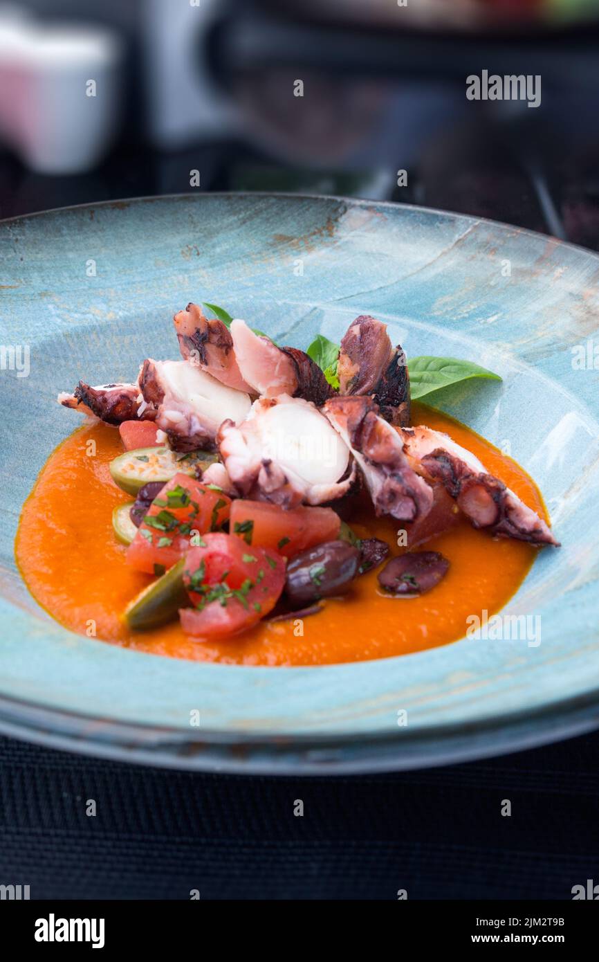 Fried octopus in tomato sauce with olives and capers in a blue plate ...