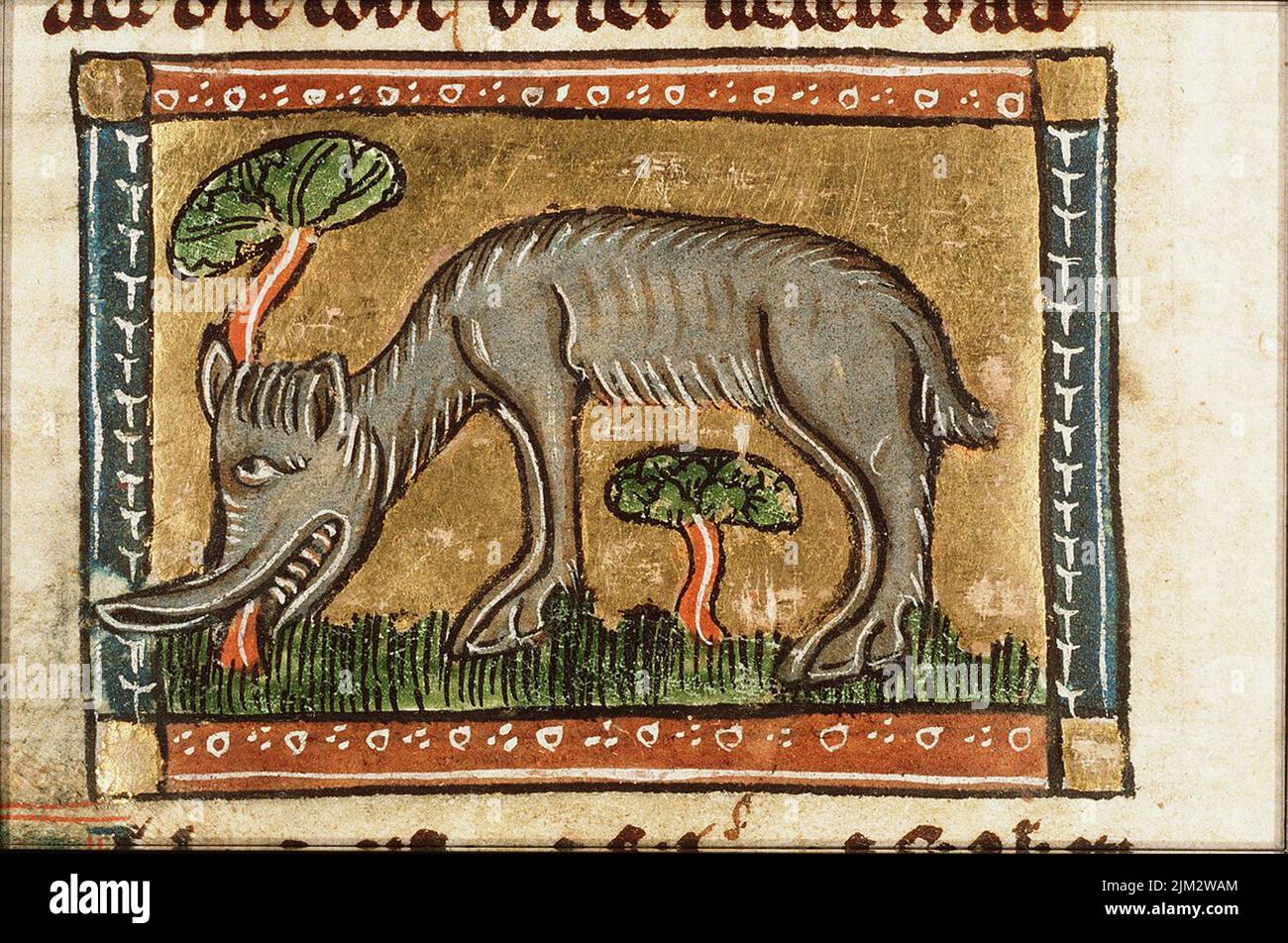 Medieval Mythology themed illustration artwork Stock Photo - Alamy