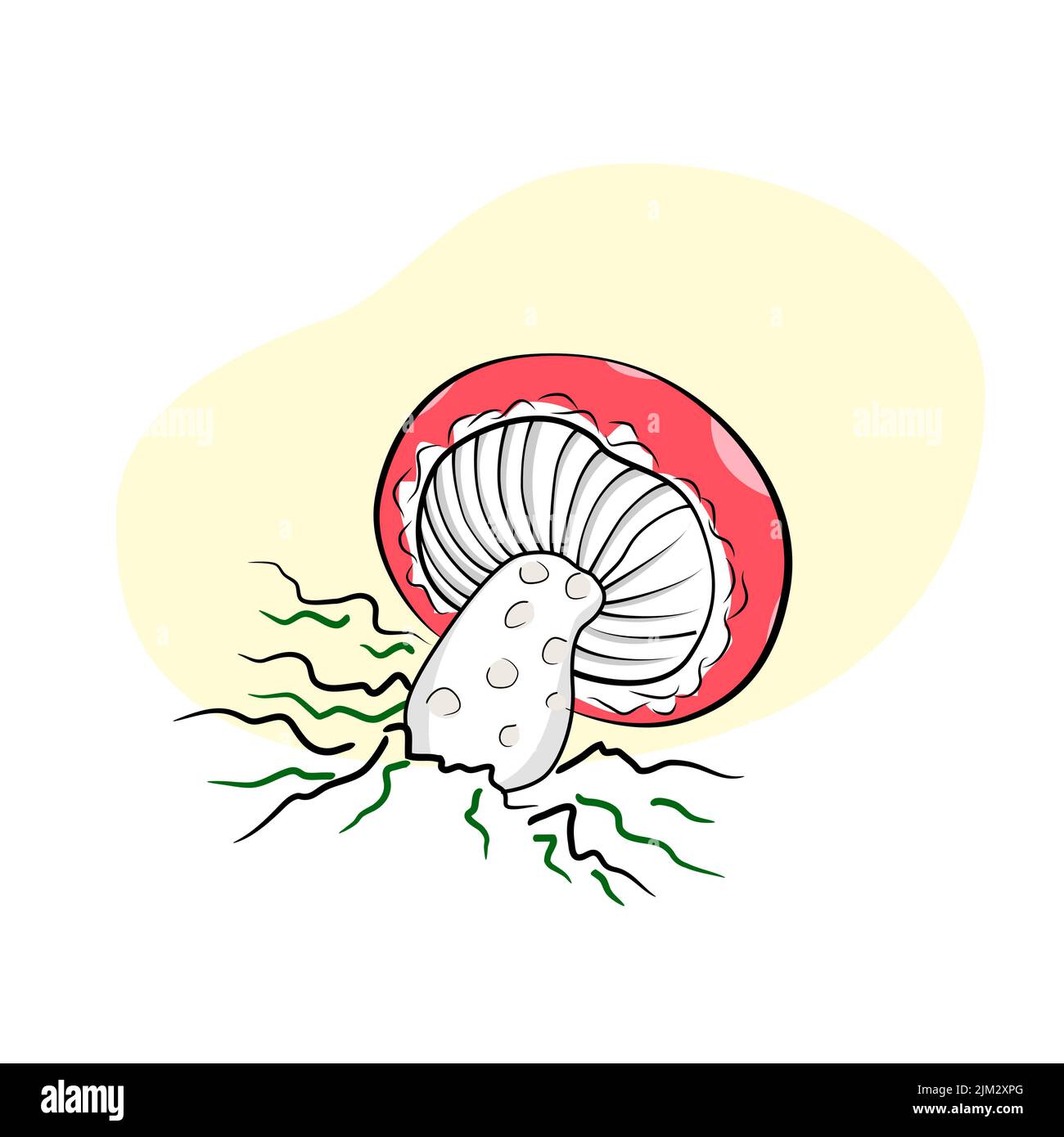 Forest of death Cut Out Stock Images & Pictures - Alamy