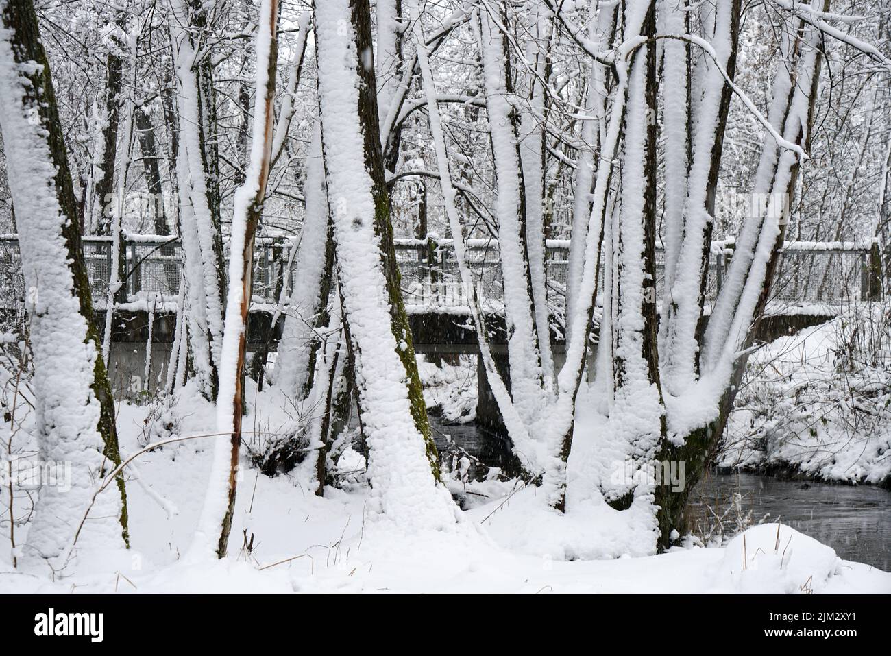 Winter with lots of snow in Bavaria is beautiful again every year Stock ...