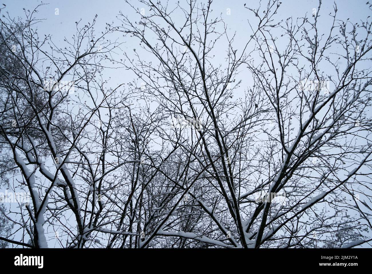 Winter with lots of snow in Bavaria is beautiful again every year Stock ...