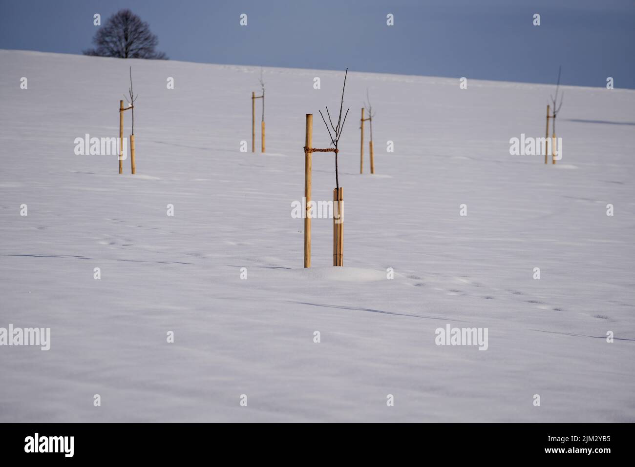 Winter with lots of snow in Bavaria is beautiful again every year Stock ...