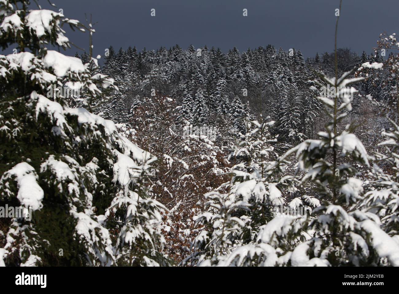 Winter with lots of snow in Bavaria is beautiful again every year Stock ...
