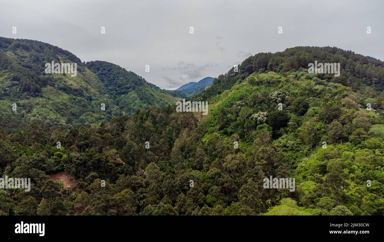 An aerial photo of a hill with green and shady trees, in the province ...