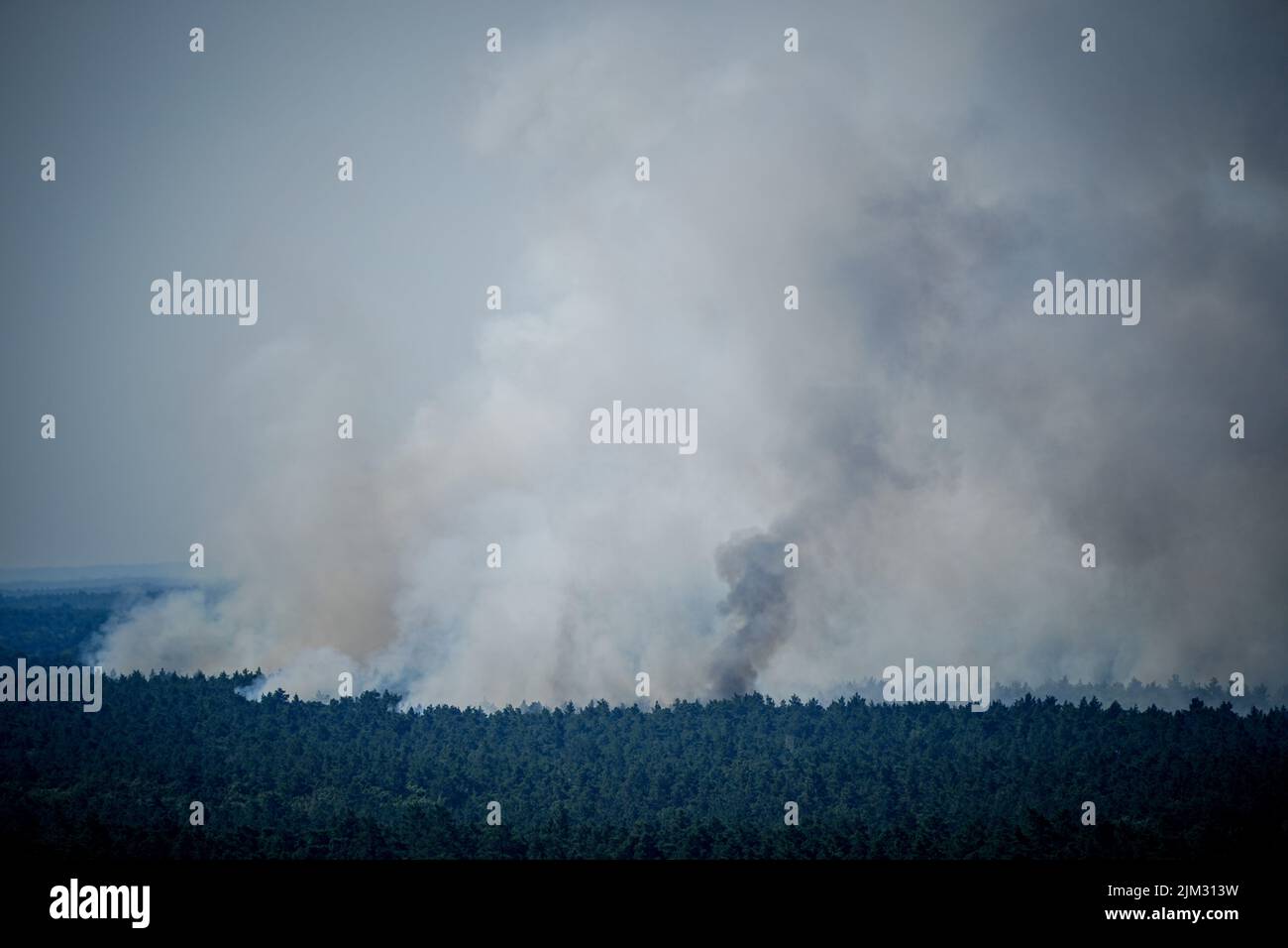 04 August 2022, Berlín: Image of the fire in Berlin's Grunewald forest ...