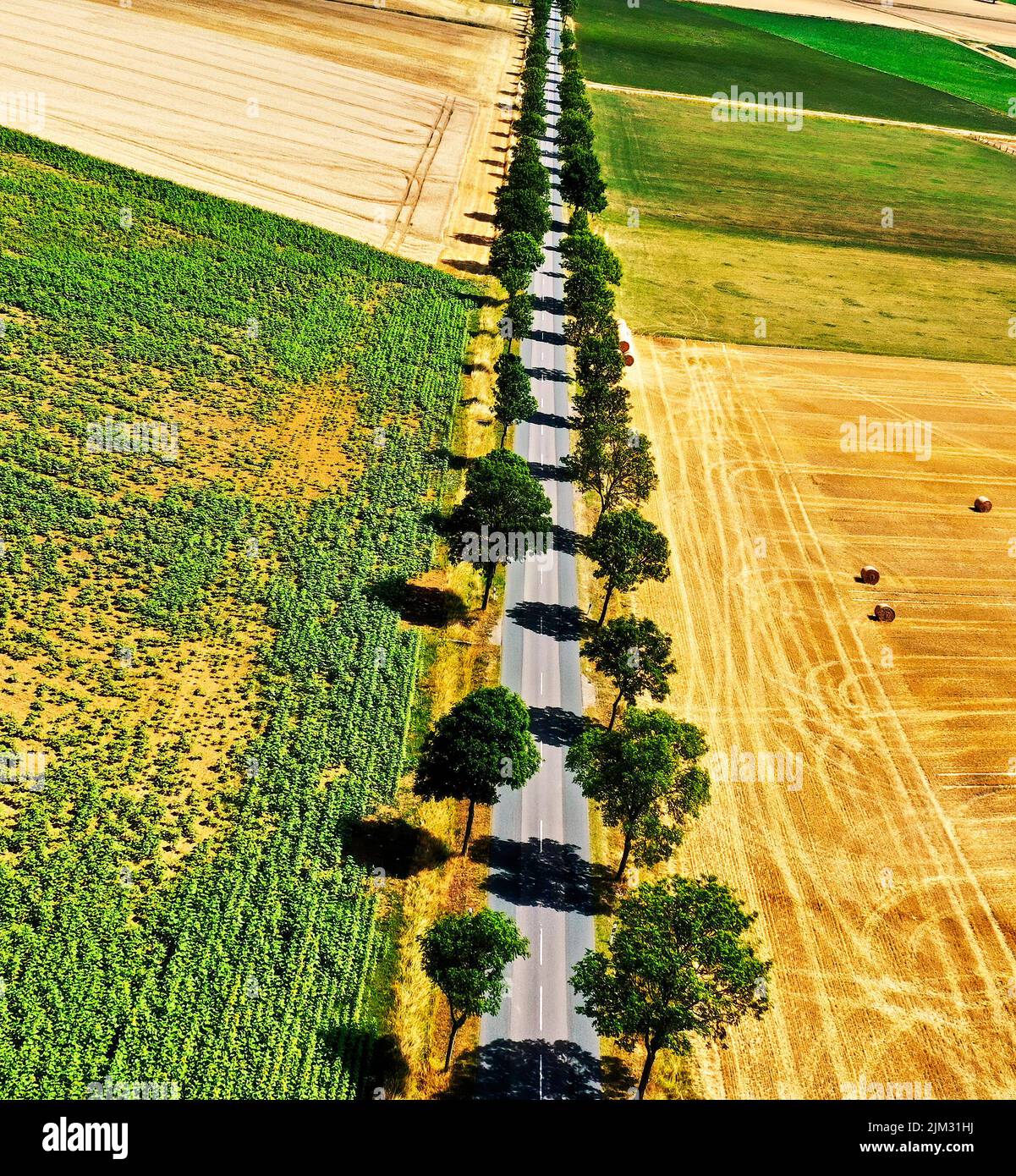 Aerial view of a dead straight narrow gray country road with rows of ...
