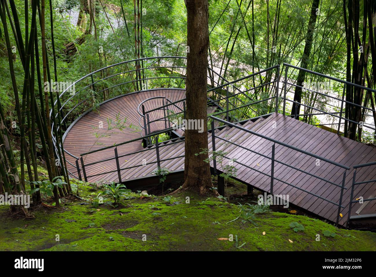 Wooden walking spiral staircase with green steel railing and ...