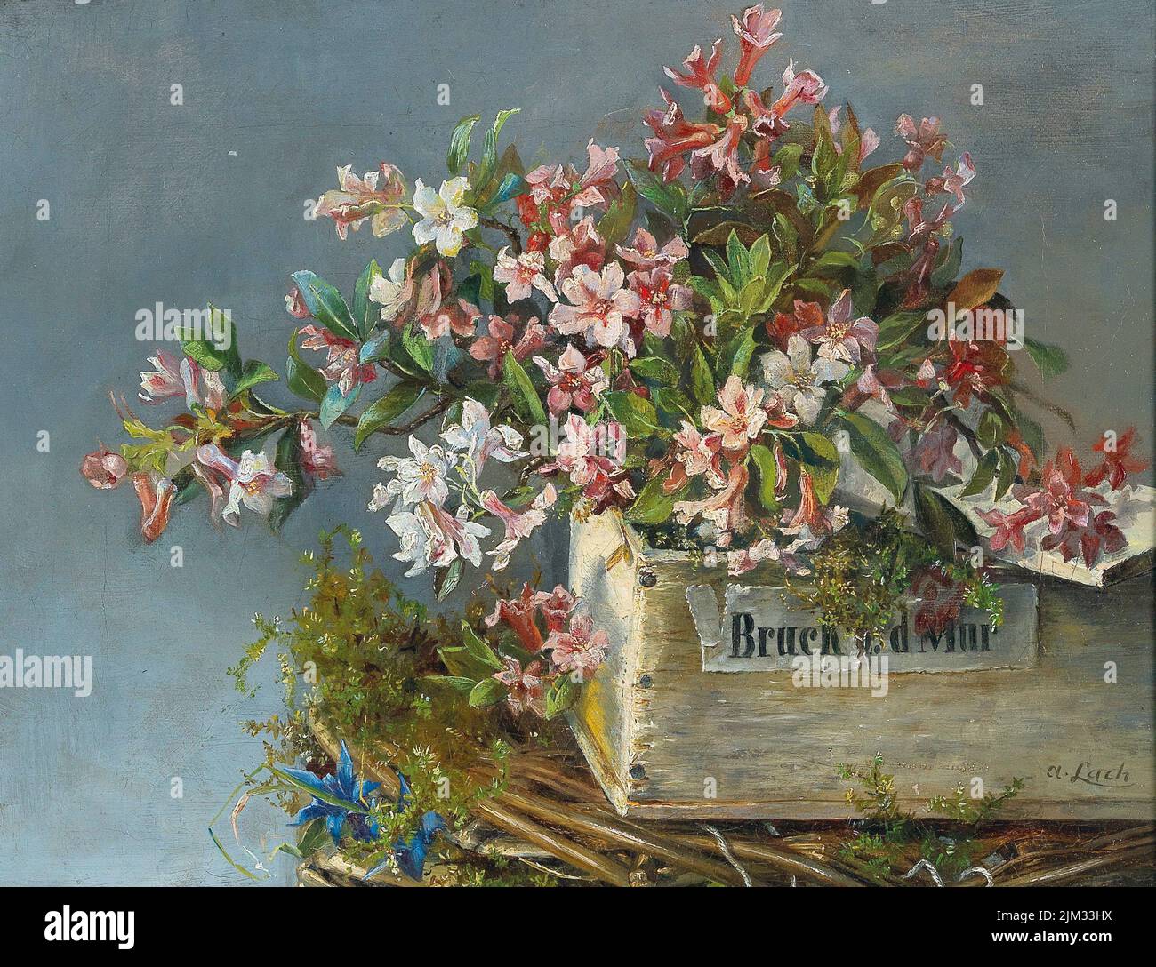 Alpine Roses In A Window Box, 19th century painting by Andreas Lach ...