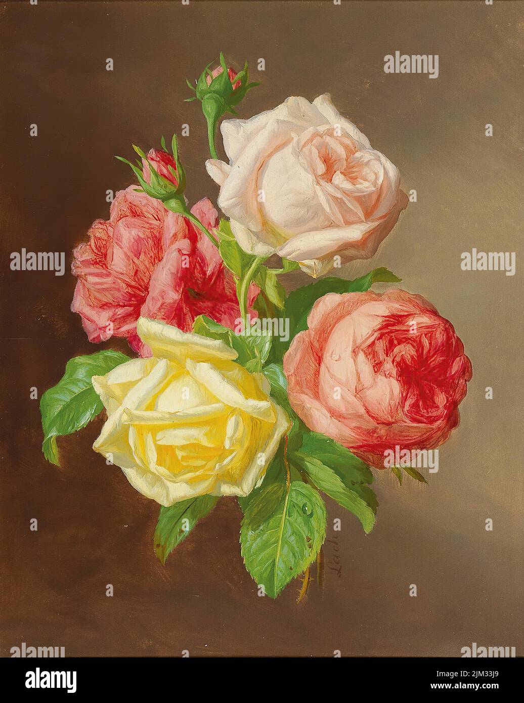 Roses, 19th century painting by Andreas Lach Stock Photo - Alamy