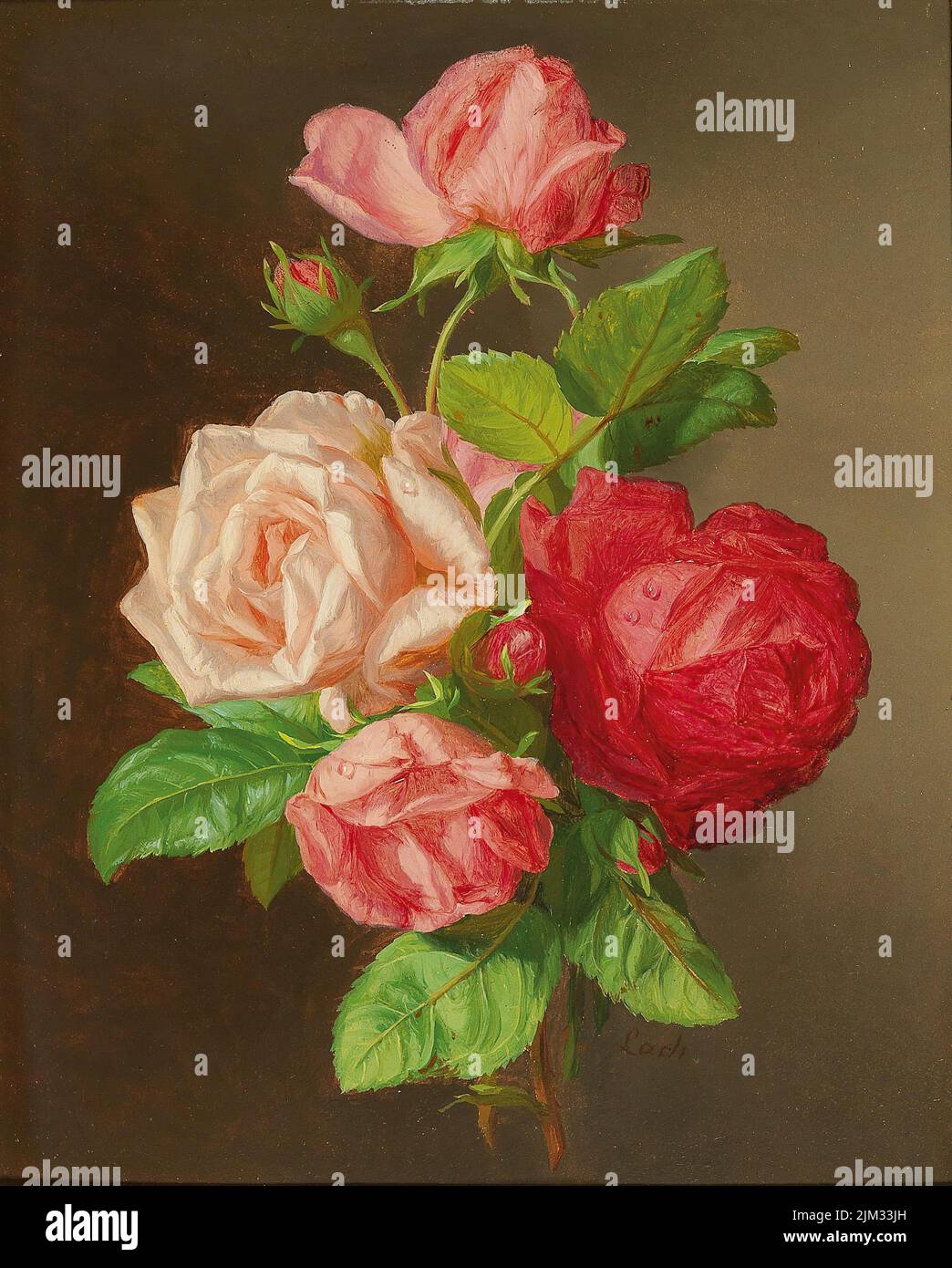 Roses, 19th century painting by Andreas Lach Stock Photo - Alamy