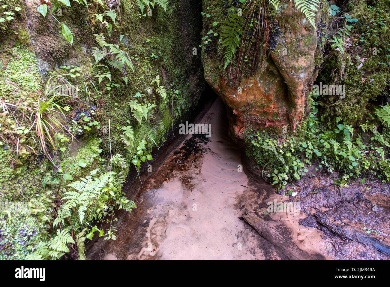 Spring water groundwater hi-res stock photography and images - Alamy