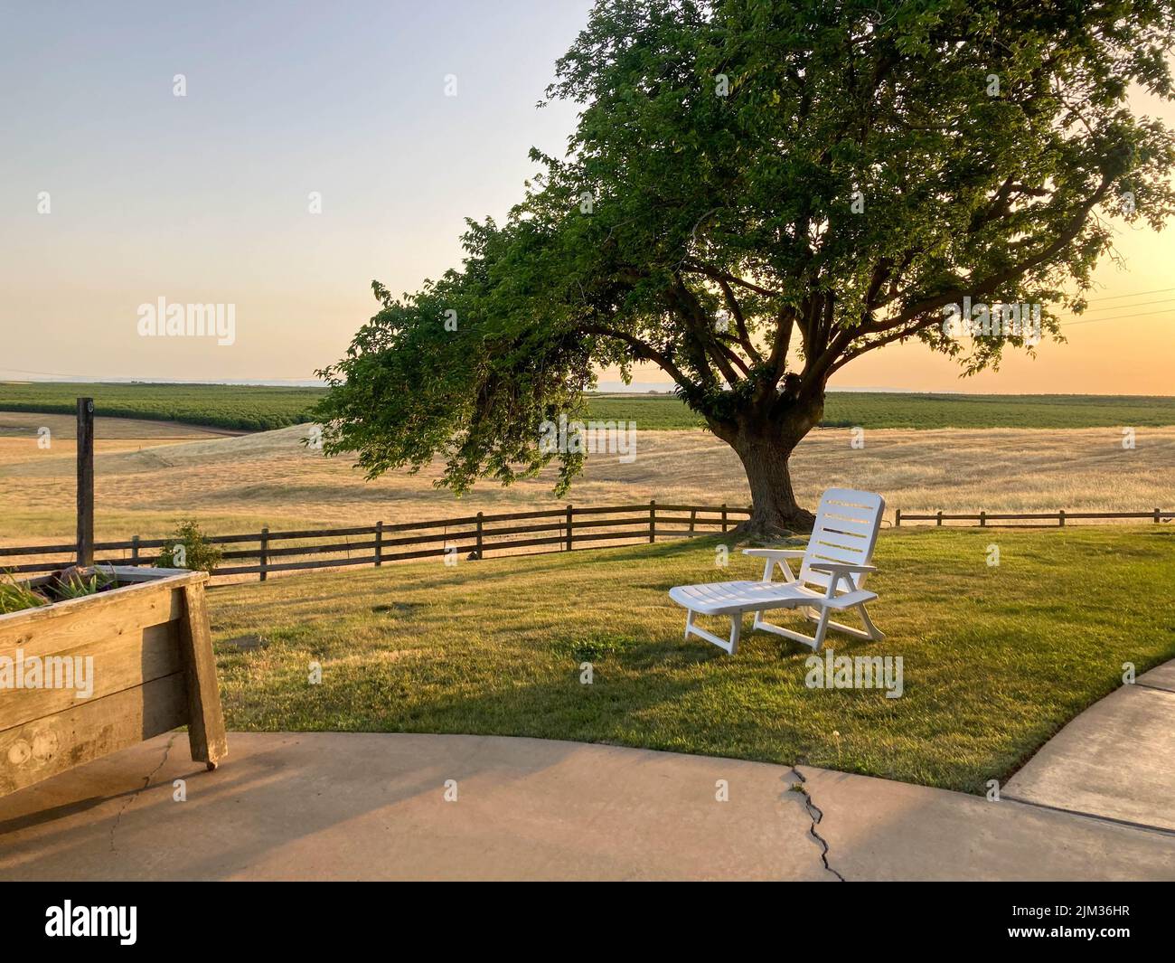 Knoll hill oak hi-res stock photography and images - Alamy