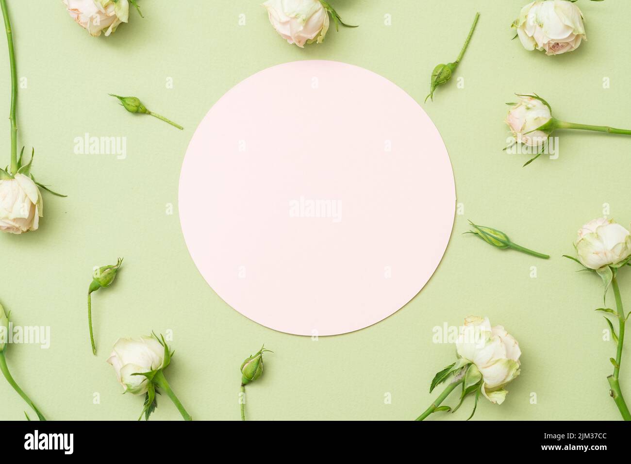 greeting card mockup white empty paper rose layout Stock Photo - Alamy