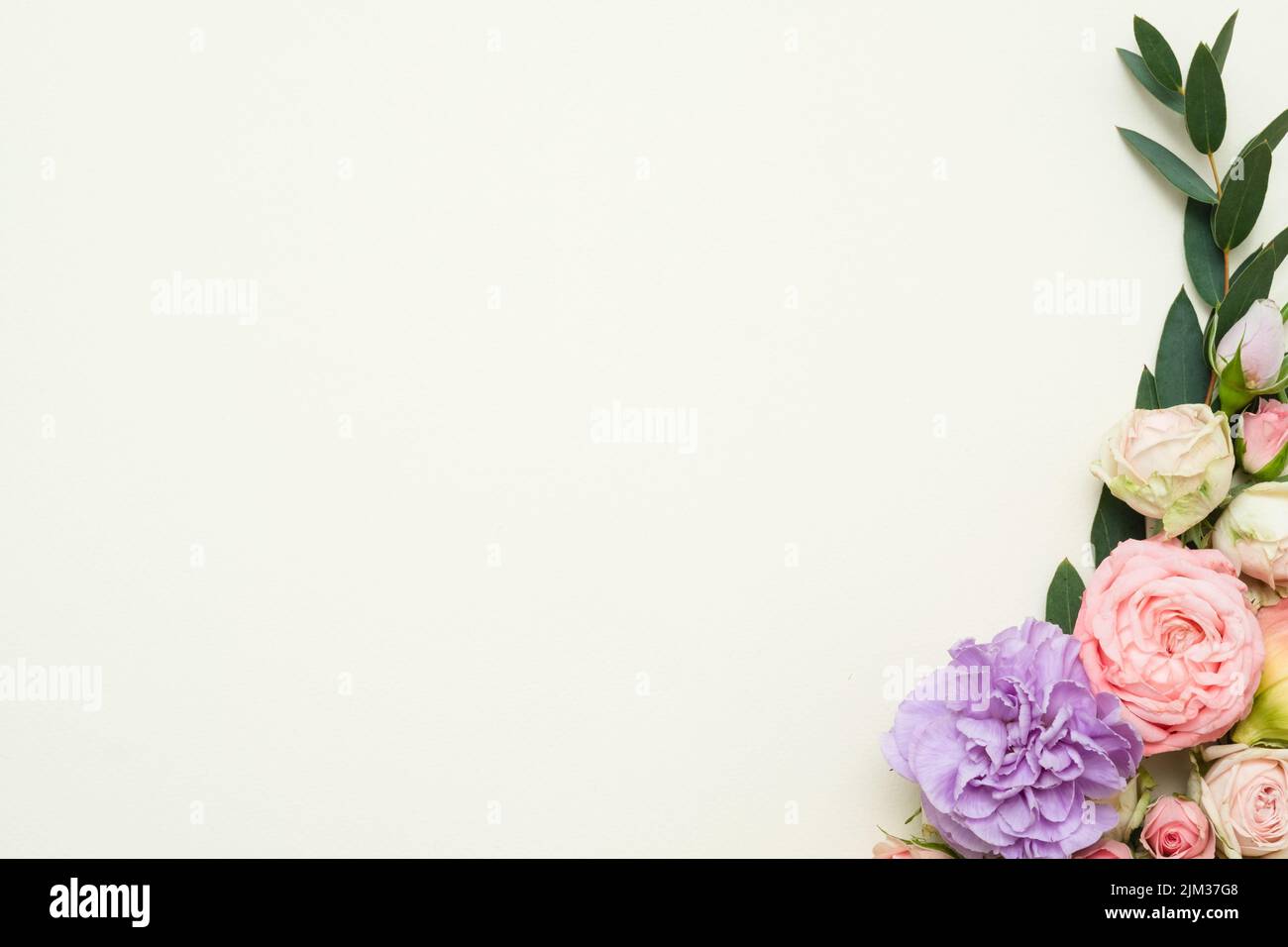minimal flower decor background congratulation Stock Photo - Alamy