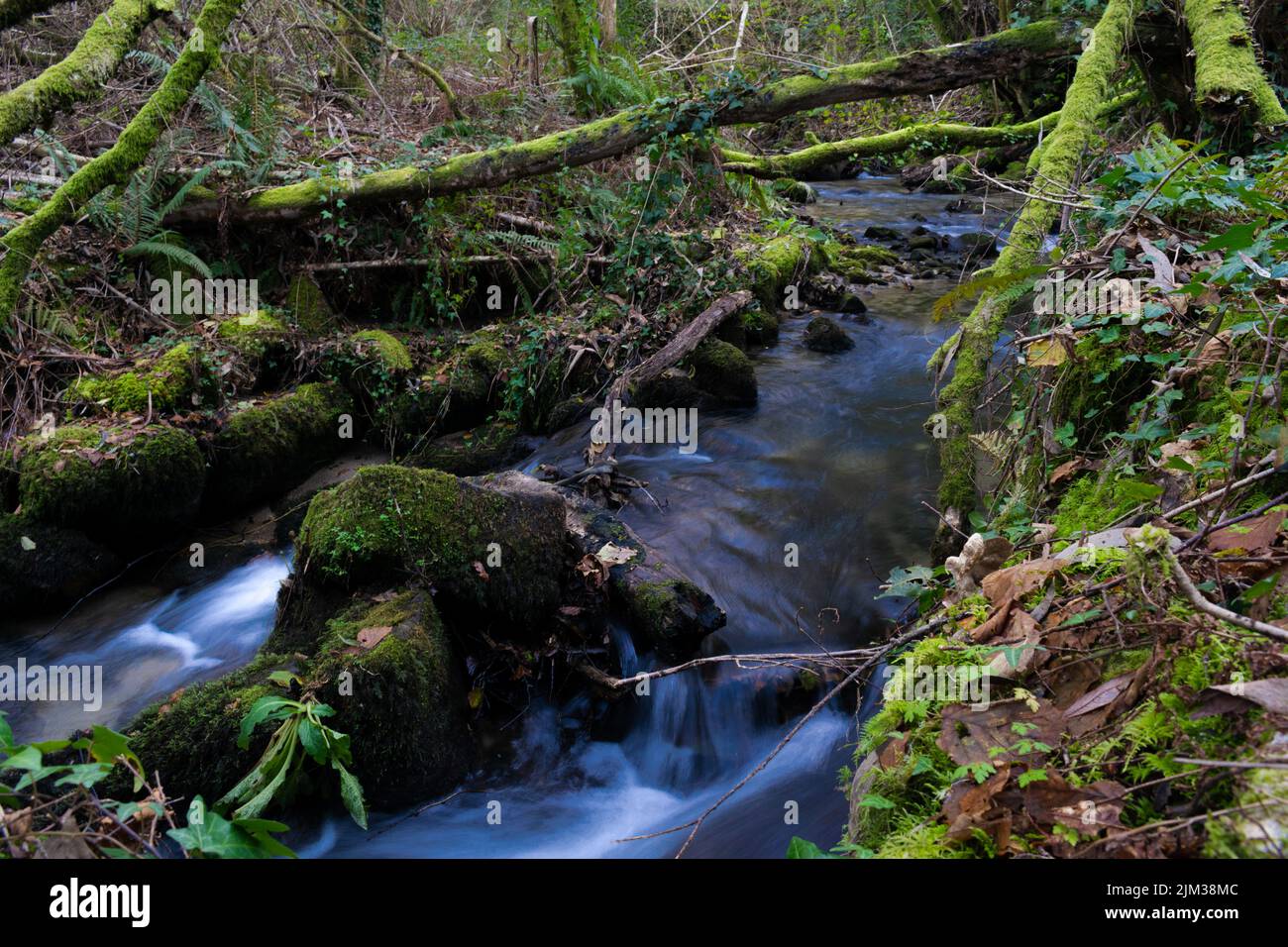 View of a river with the water flowing between moss covered rocks in a ...
