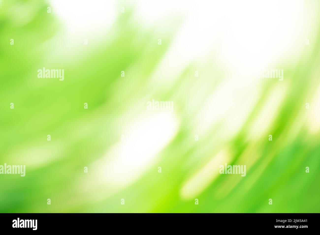 Abstract green gradient effect blurred colorful backdrop. Soft gradient background Stock Photo ...