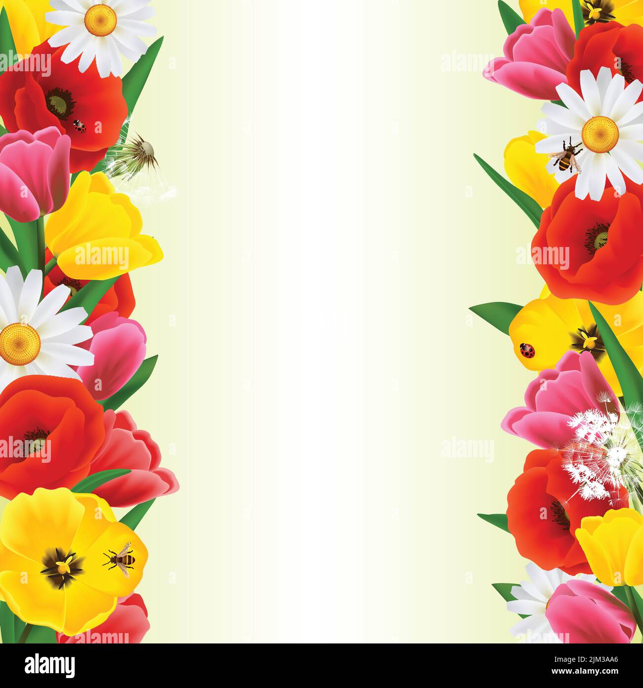 Decorative invitation card border from colorful tulip daisy and poppy ...