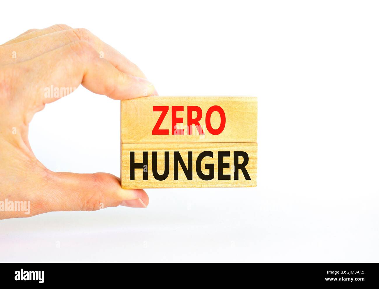 Zero hunger symbol. Concept words Zero hunger on wooden blocks on a ...