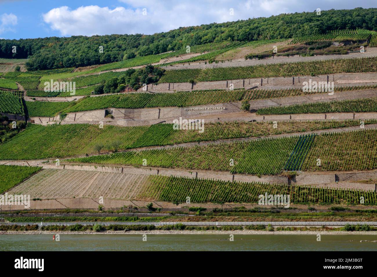 Scenes from the vineyard hi-res stock photography and images - Alamy