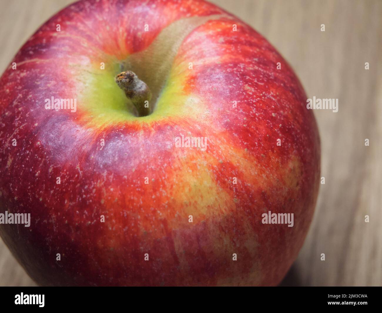 A single large ripe gala apple, a macro shot. Beautiful fruit Stock ...