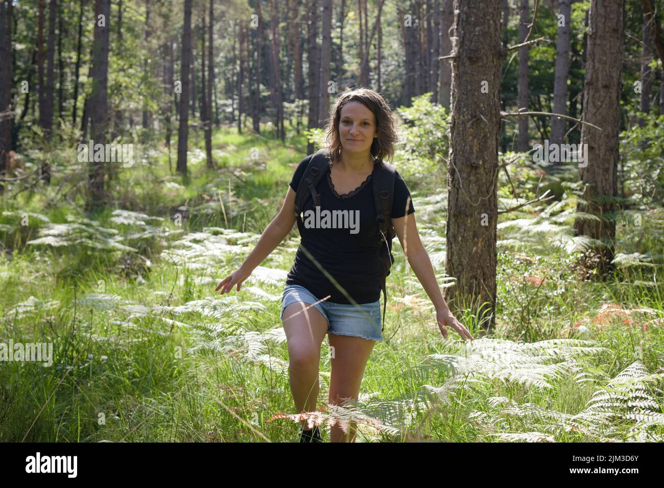 caucasian woman hiking in the french forest of Fontainebleau Stock ...