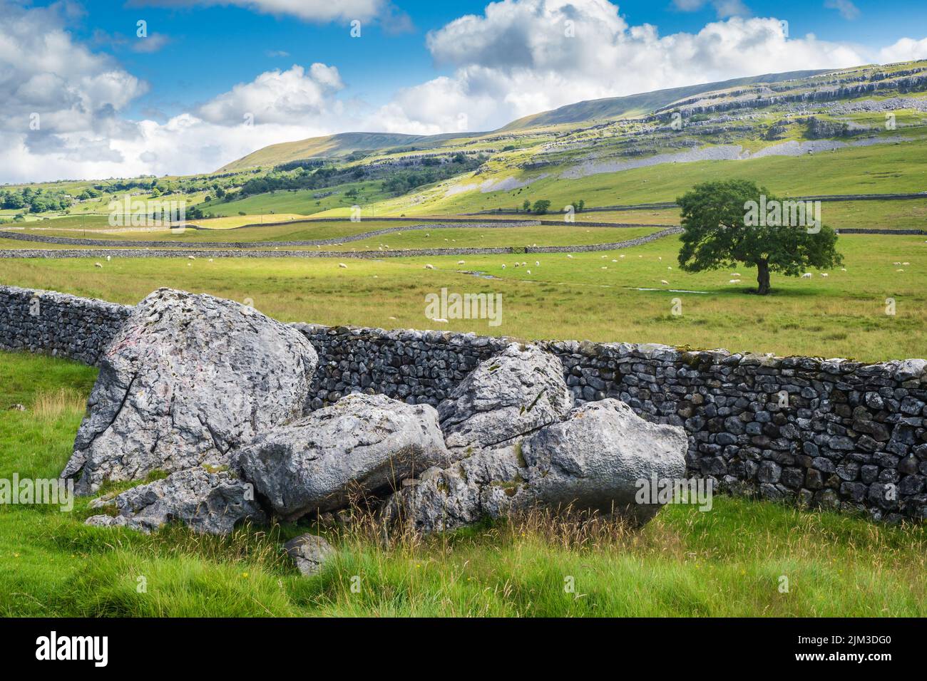Ingleborough is the second-highest mountain in the Yorkshire Dales ...