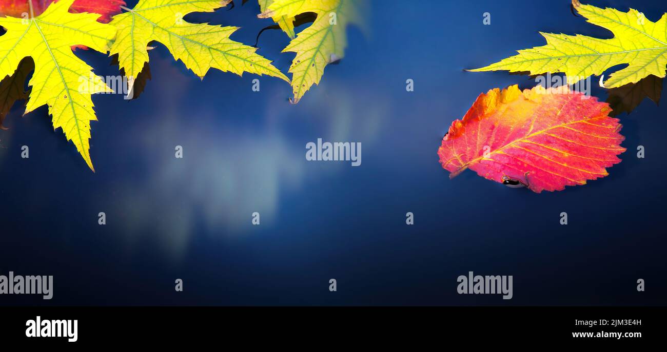 Sky reflection in plash hi-res stock photography and images - Alamy