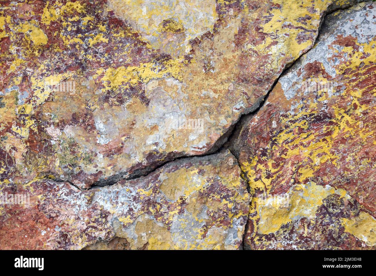 Architecture building color colorful exterior concept design detail ...