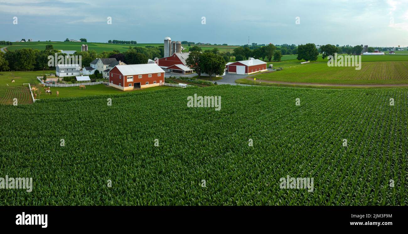 An aerial view of the rural farmland in southern Lancaster County ...
