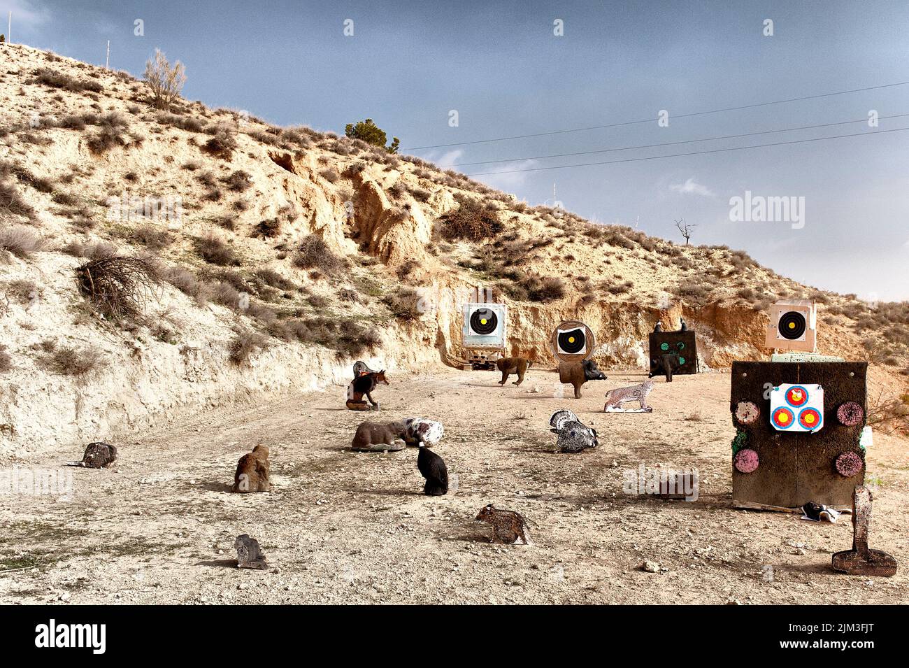 Archery training ground, on fake animal targets and bullseye Stock ...