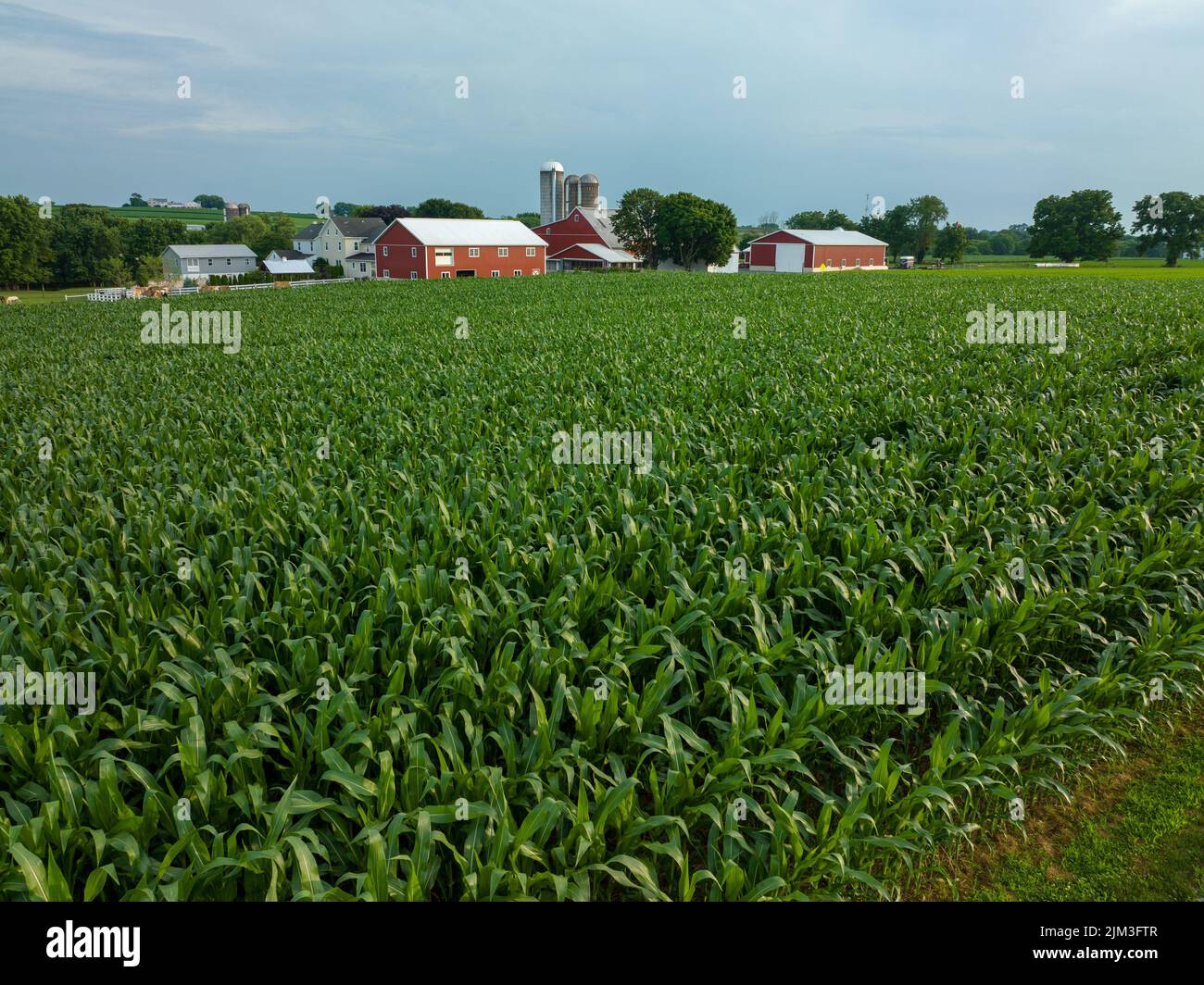 An aerial view of the rural farmland in southern Lancaster County ...