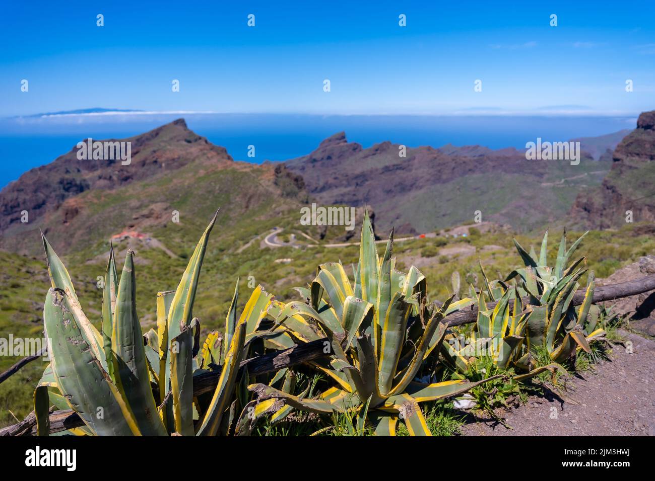 A scenic view of the natural vegetation in the mountain municipality of ...