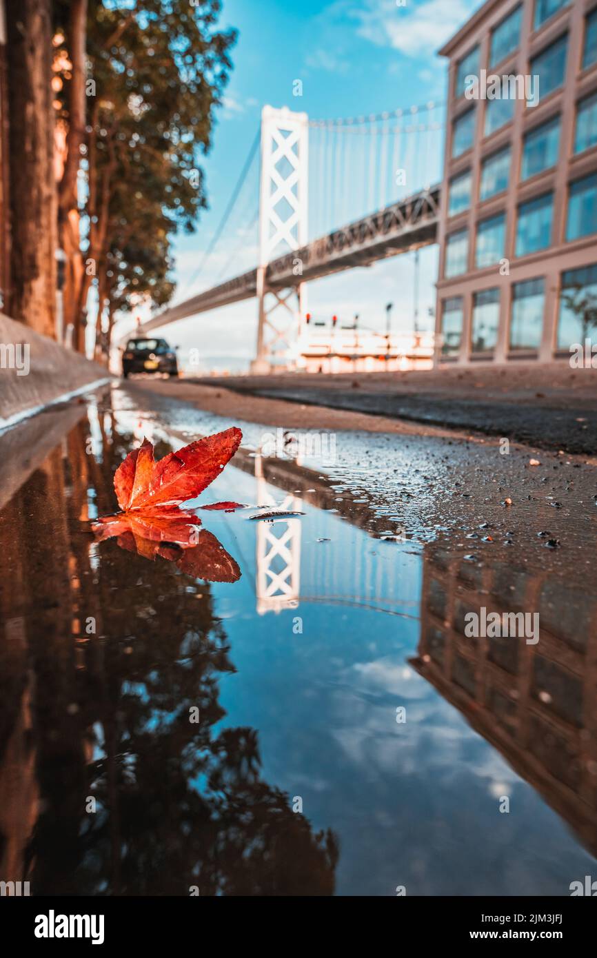 A beautiful scene of the Golden Gate Bridge in San Francisco, CA ...