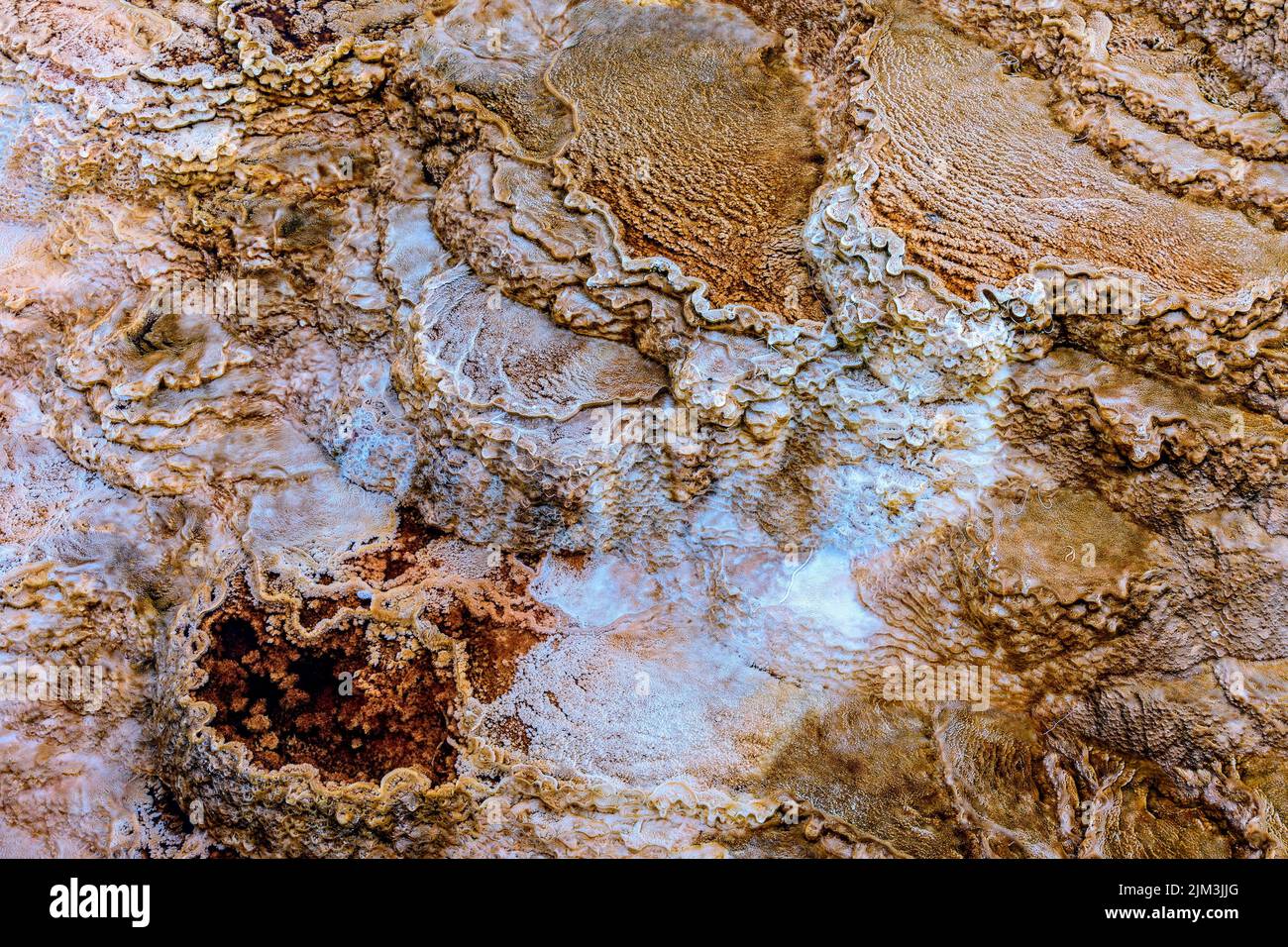 Colorful geysers in Yellowstone National Park, Wyoming USA Stock Photo ...