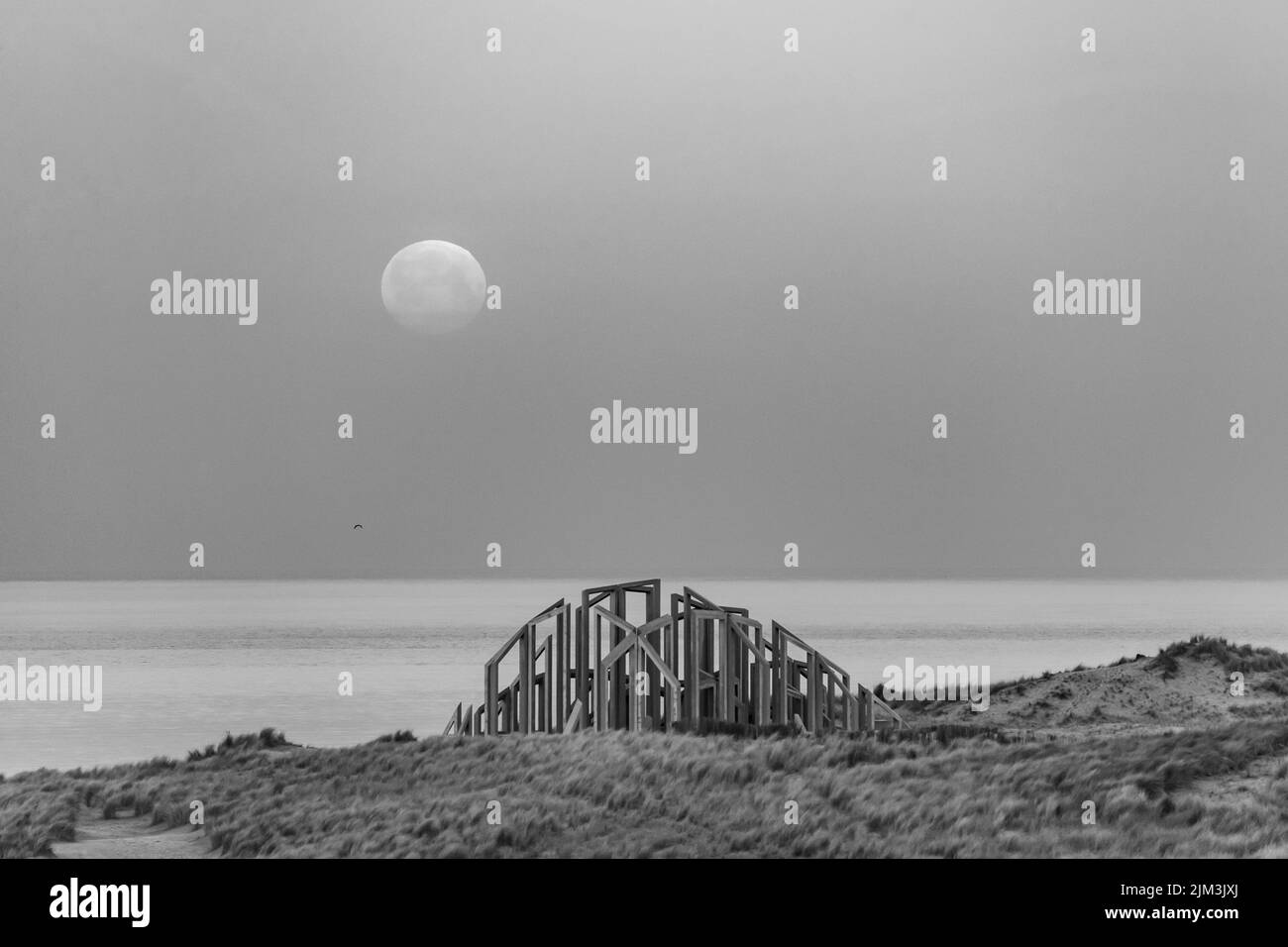 A grayscale view of the full moon in the blue sky over the wooden ...