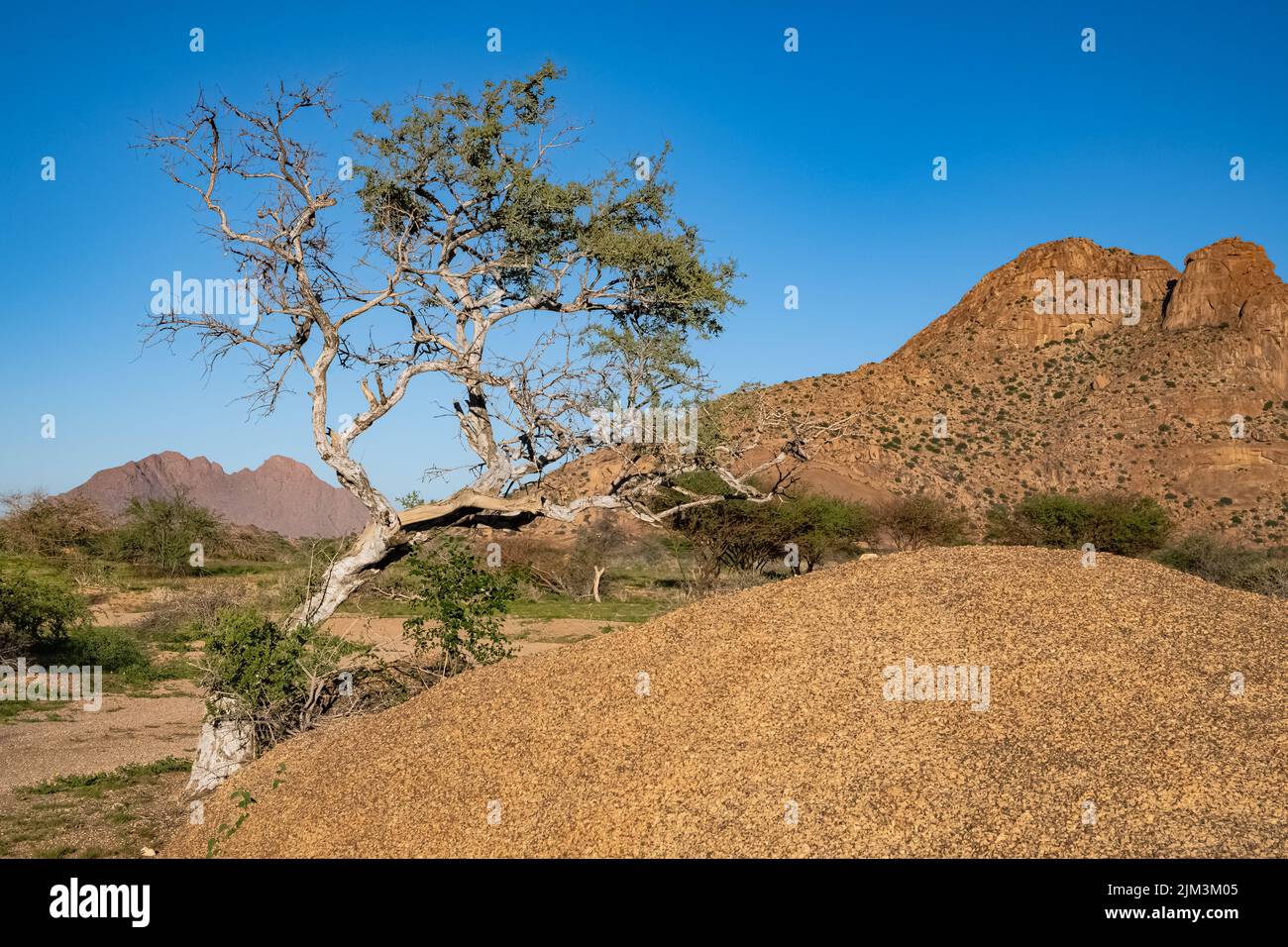 Namibian the rocks of Spitzkoppe in Damaraland, landscape with a tree ...