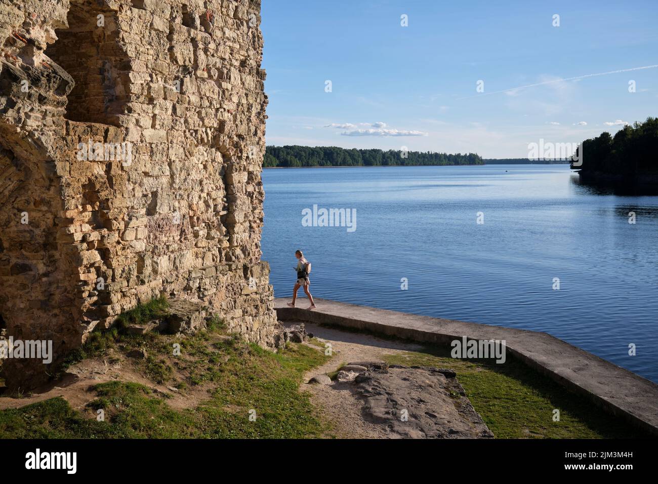 The Koknese medieval castle ruins and a visitor walking along Daugava ...
