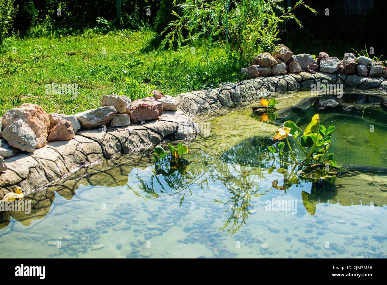 Beautiful small pond in the garden as landscaping design element Stock ...