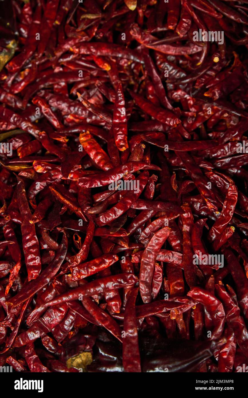 Chiles de arbol placed on a shelf for sale within a market Stock Photo ...