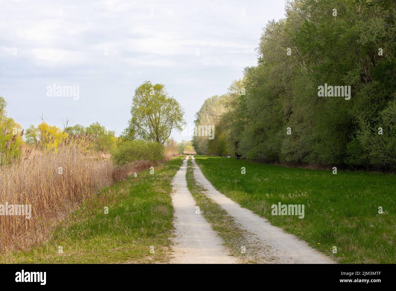 Landscape with a road in the area of Little Lake Balaton -Hungary ...