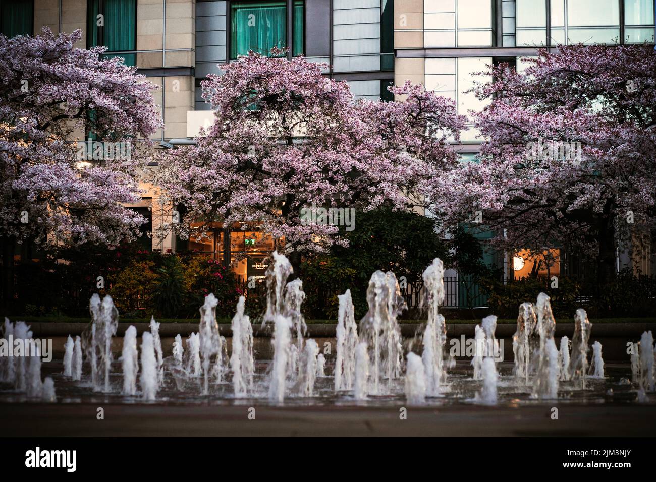 Park fountains in front of a building and trees Stock Photo - Alamy