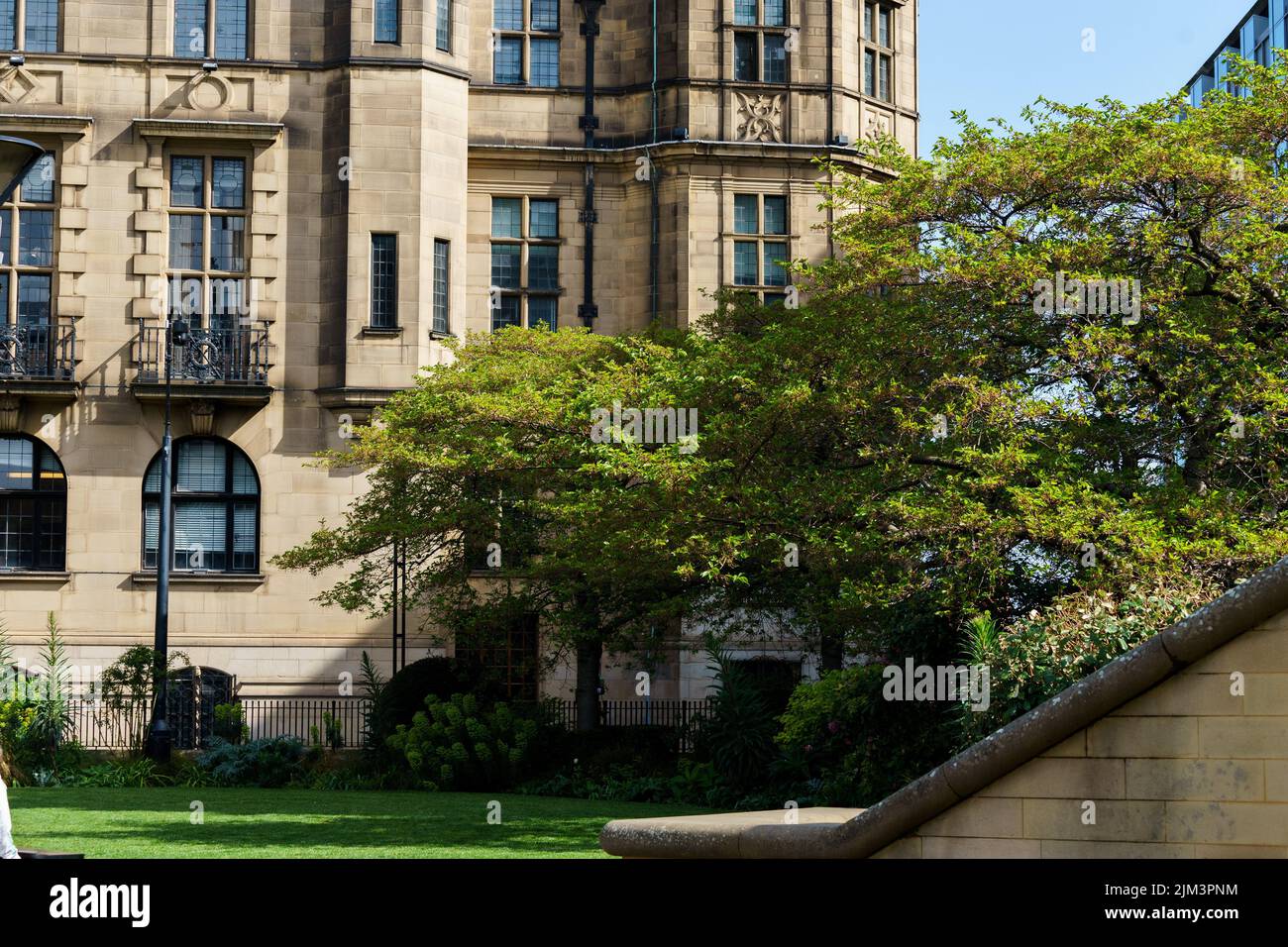 A beautiful architectural building with a tree at daytime Stock Photo ...