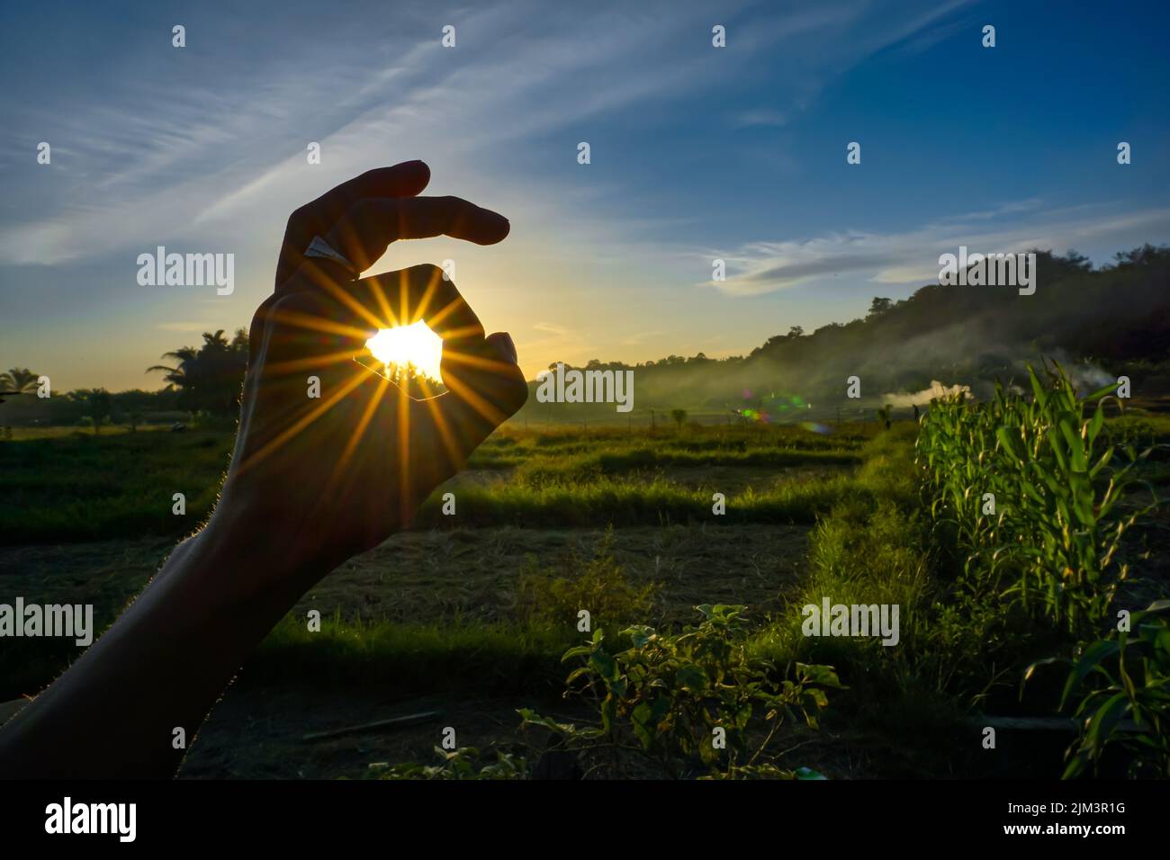 A view of a hand trying to catch the sun in a beautiful meadow with ...