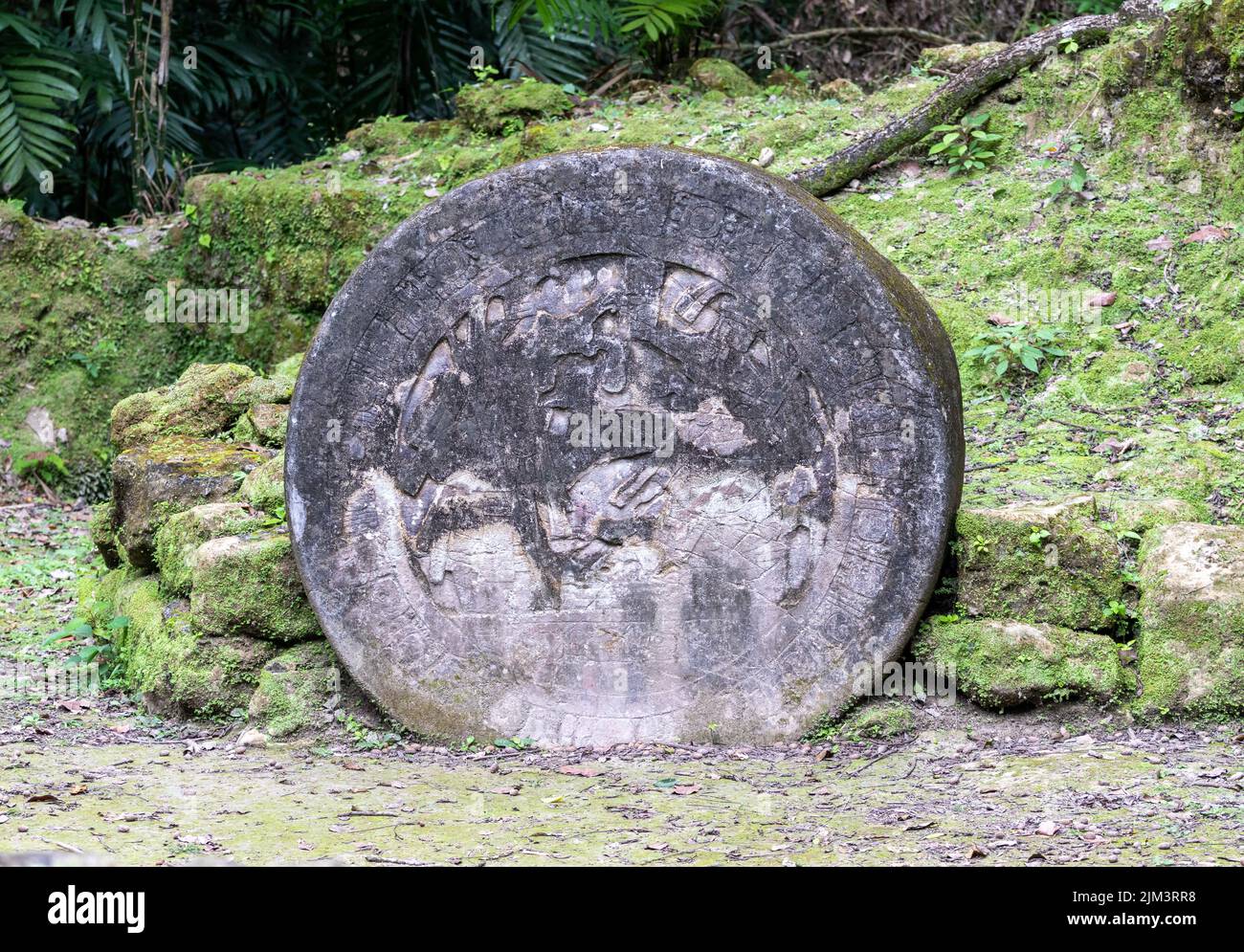 A carved Mayan burial stone from the archaeological site of Tikal in ...