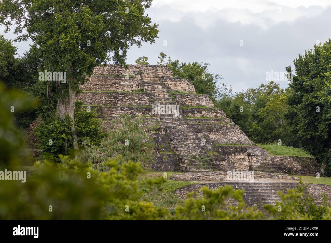 Mayan pyramid ruins in yaxha submerged in thick jungle forest in ...