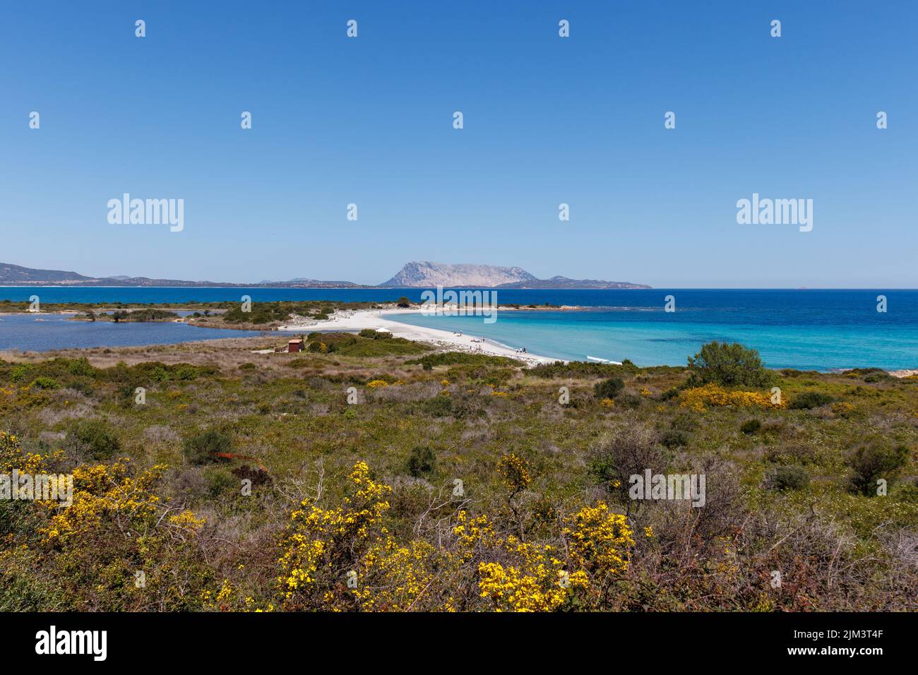 Isuledda beach in sardinia with turquoise water and little lagoon Stock ...