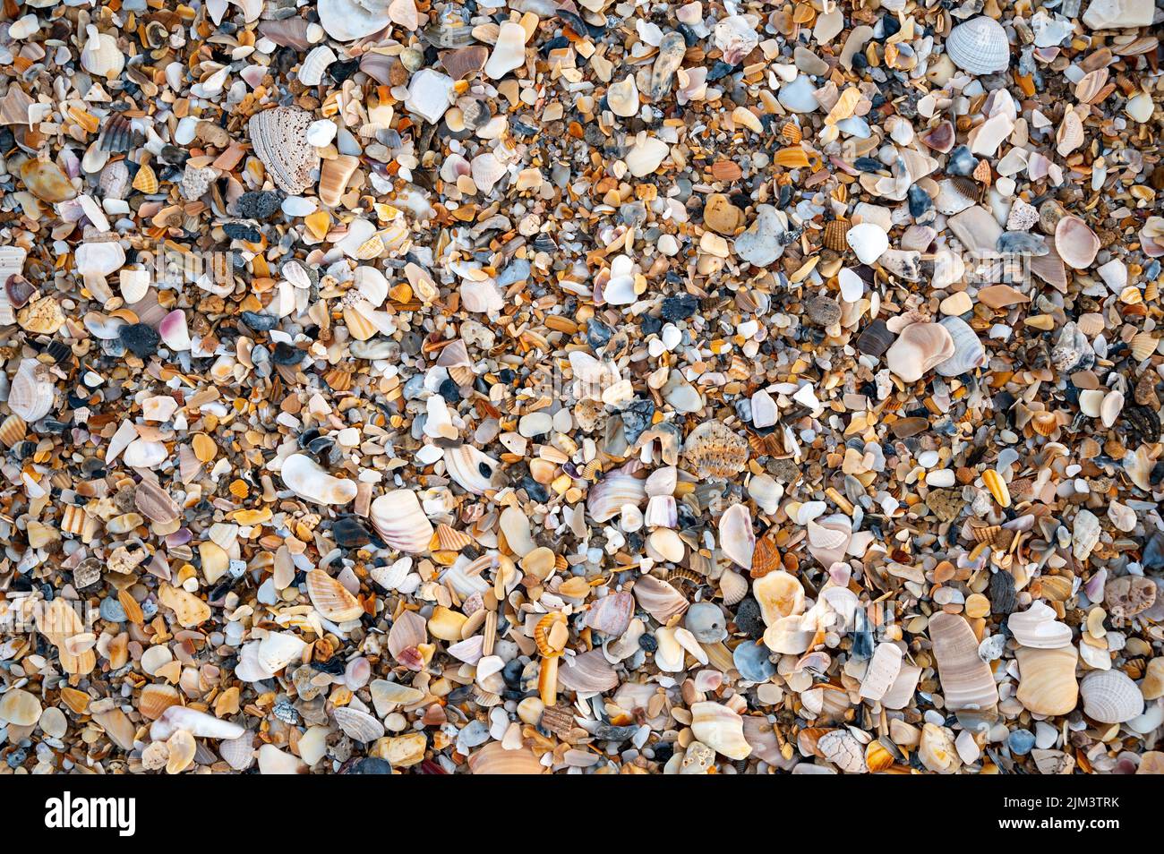 A top view of colorful rocks and shells, great for backgrounds Stock ...