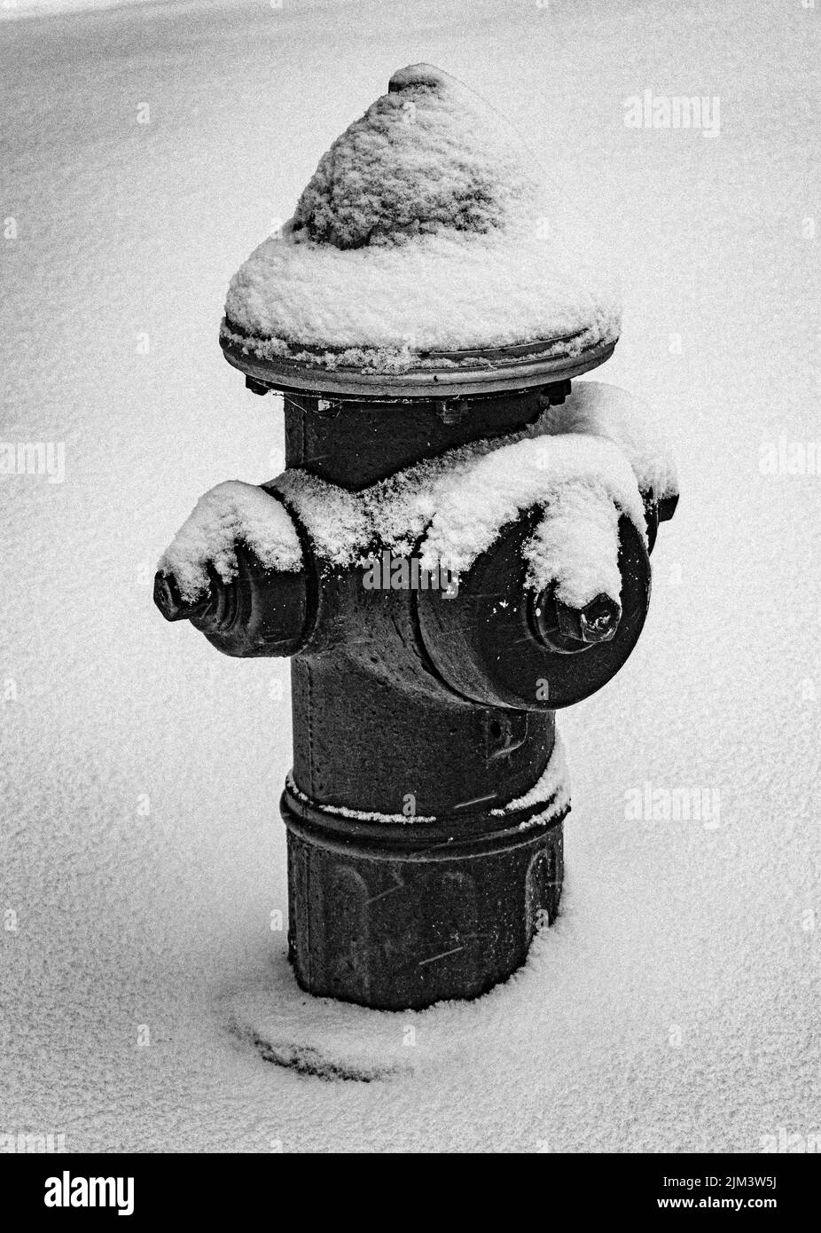 A closeup grayscale shot of a fire hydrant covered with snow during ...