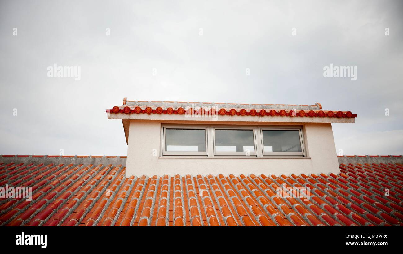 A Modern tiles roof and a decorated loft window with a blue sky design ...
